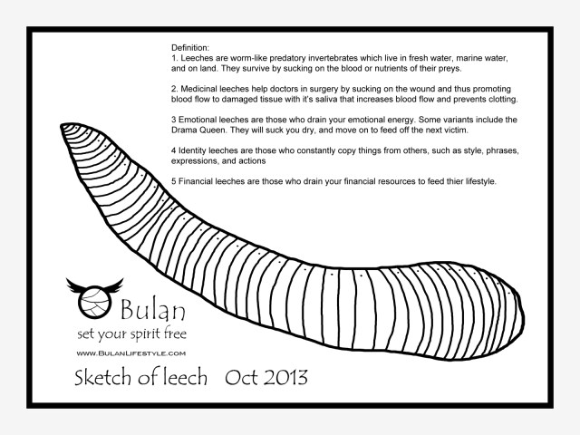 Leech Drawing