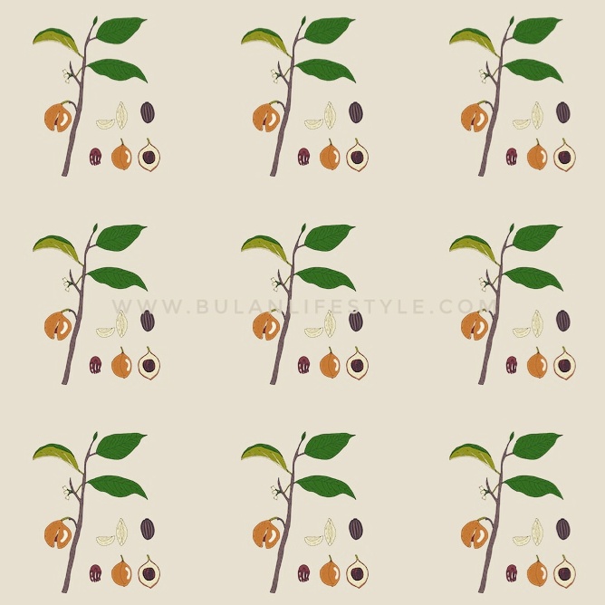 Nutmeg pattern – BulanLifestyle.com