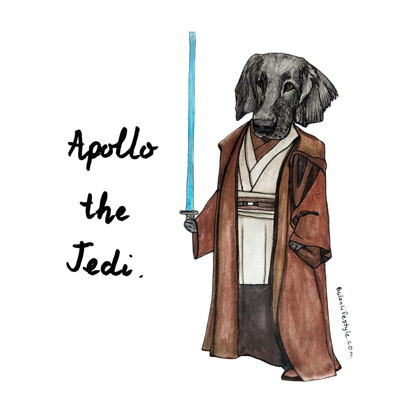Apollo the Jedi Master – BulanLifestyle.com